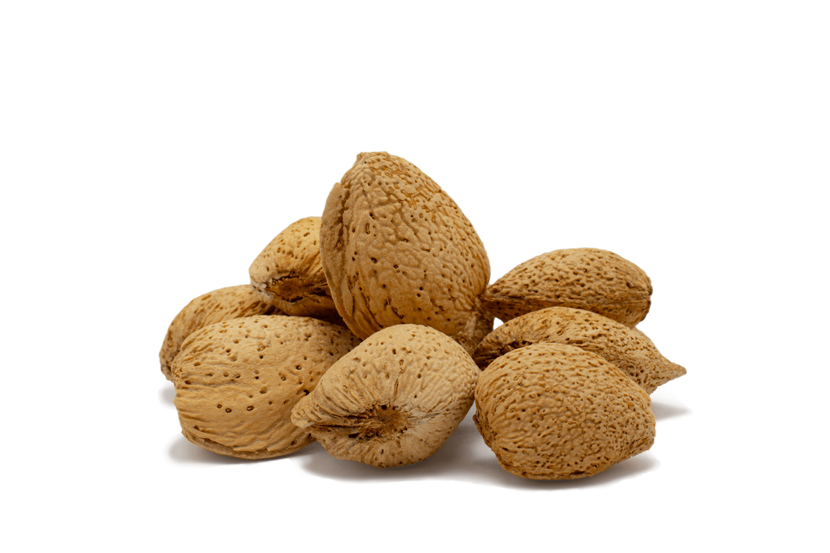 Les Amandes coque crues d'Orienco